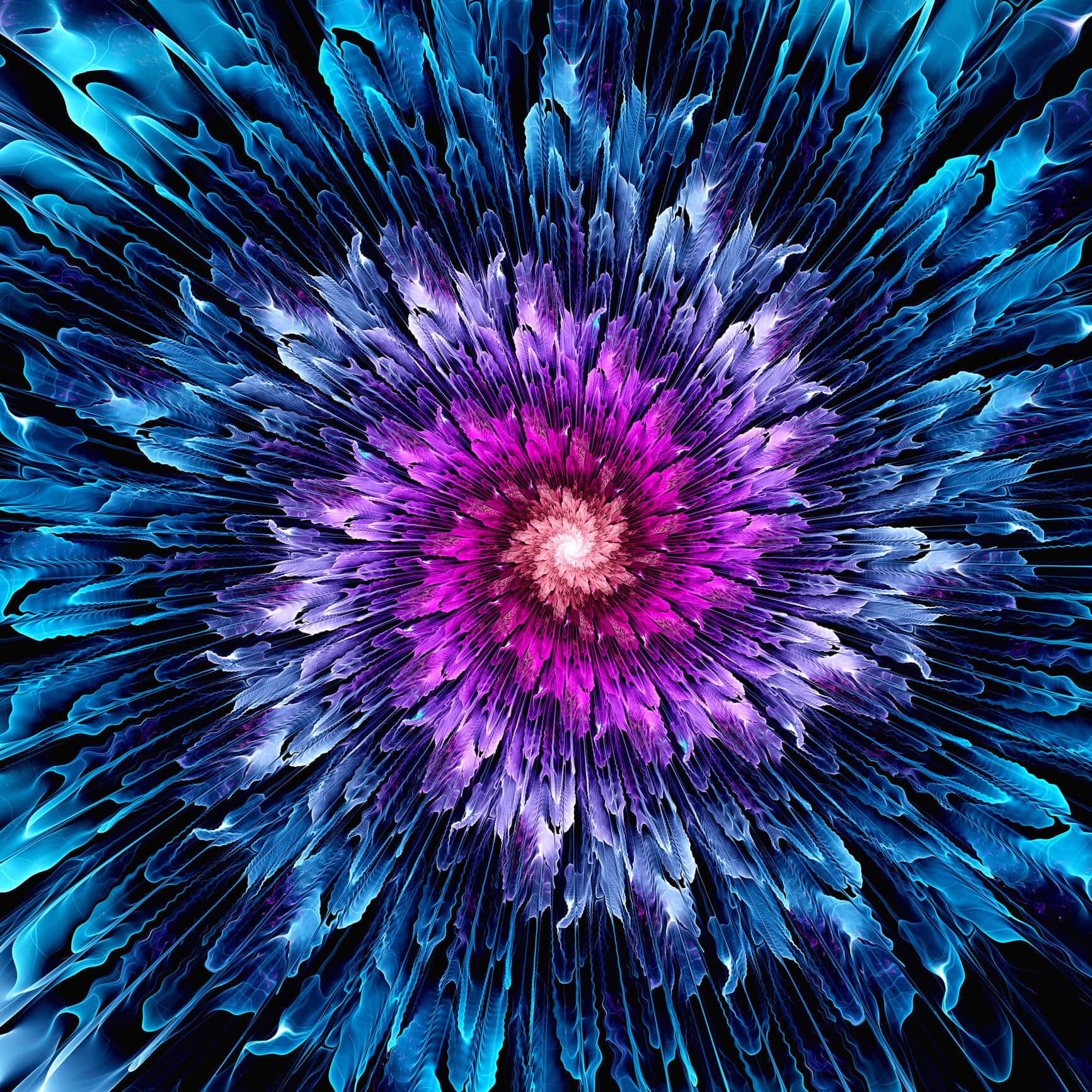 Die Geometrie der Natur - Fraktale » Bendesign