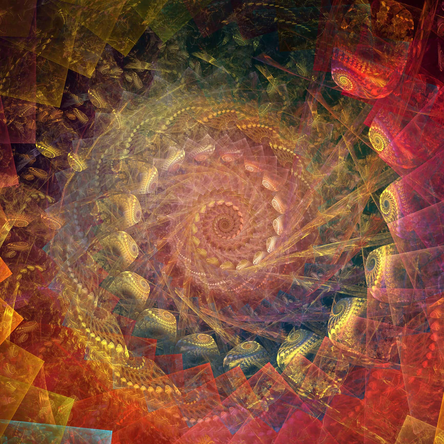 Die Geometrie der Natur - Fraktale » Bendesign