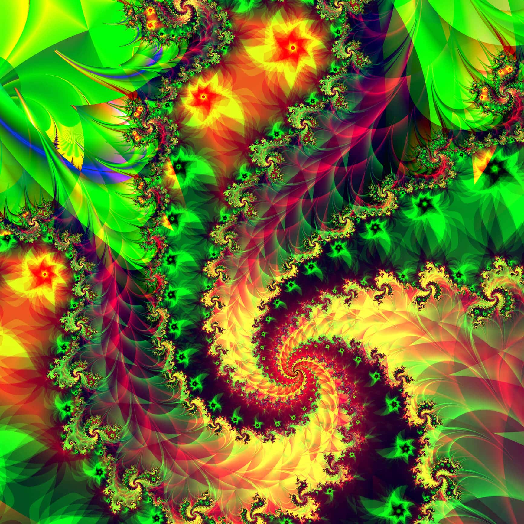 Die Geometrie der Natur - Fraktale » Bendesign